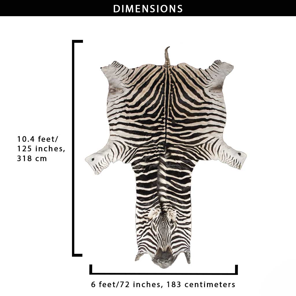 One of a kind African Fine Art: Authentic Cruelty-Free Super Grade A ...